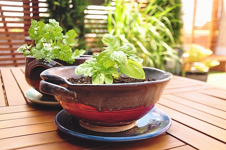 8 Innovative Ways to Repurpose Your Pots | The Lady of the South ...